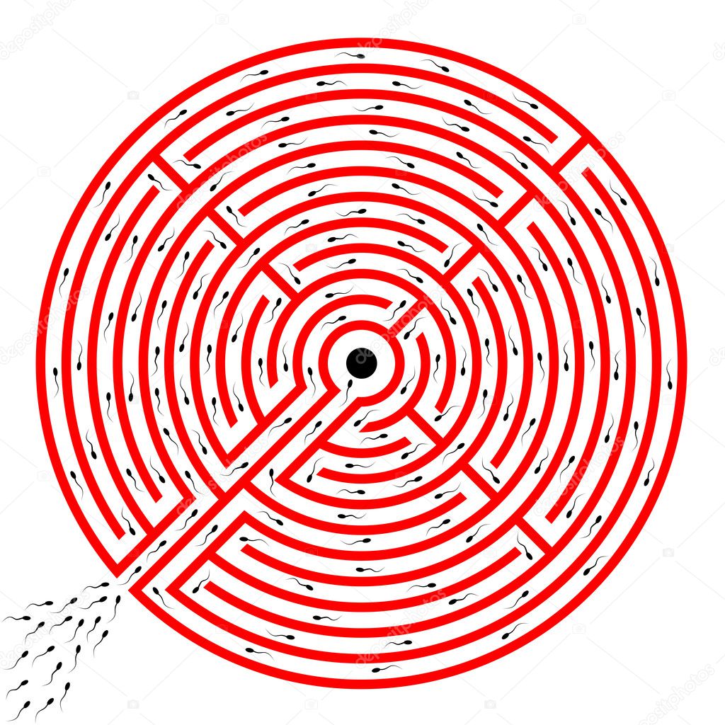 Sperms in labyrinth — Stock Vector © toponium #6376416 Sperms in labyrinth — Stock Vector © toponium #6376416