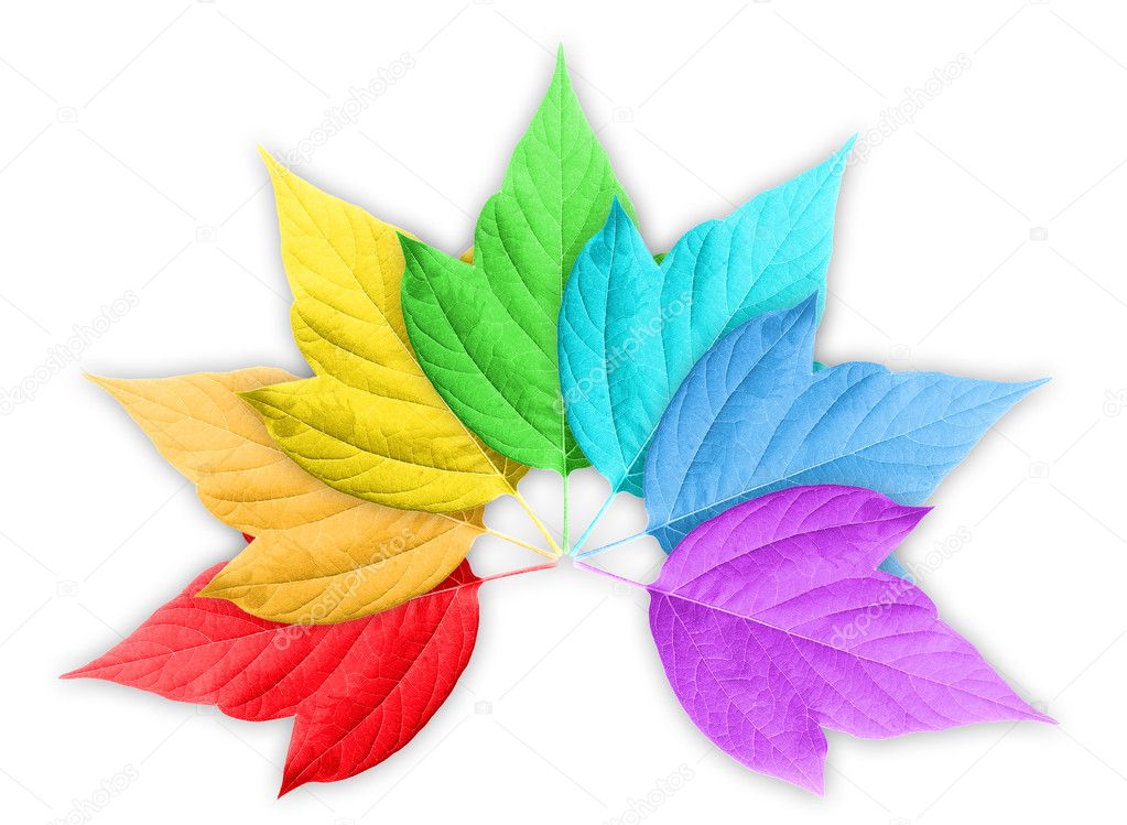 Colorful Rainbow Gradient with Group of Leafs Stock Photo by ©boroda ...