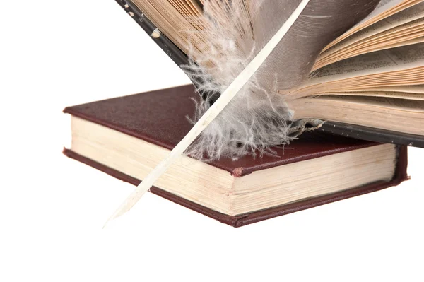 Stack of books and quill — Stock Photo © Observer #5316625