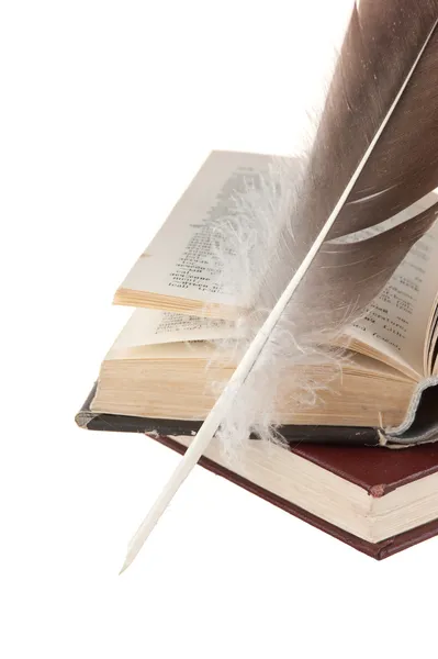 Writing a book Stock Photos, Royalty Free Writing a book Images ...