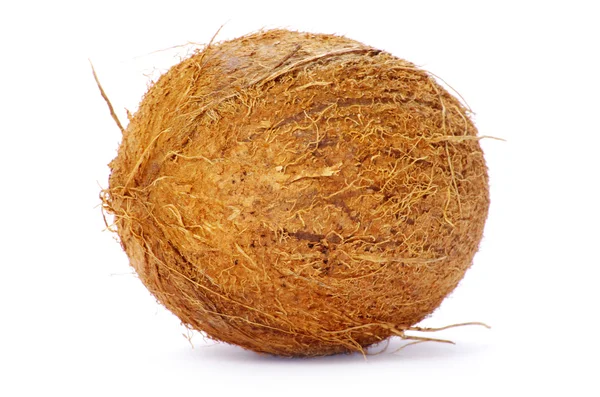 Noix de coco entière Stock Photos, Royalty Free Noix de coco entière ...