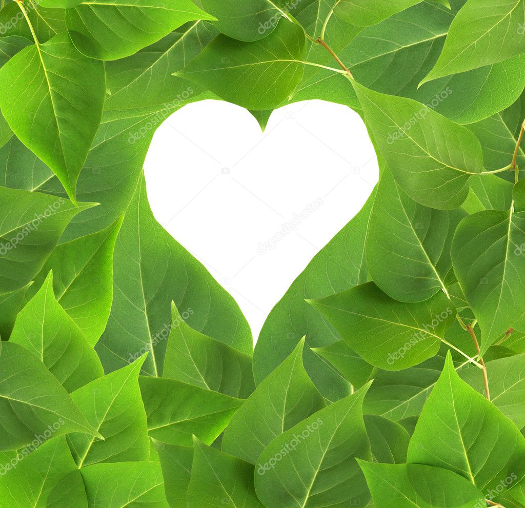 Heart Frame In Leaves — Stock Photo © kvkirillov #6673320