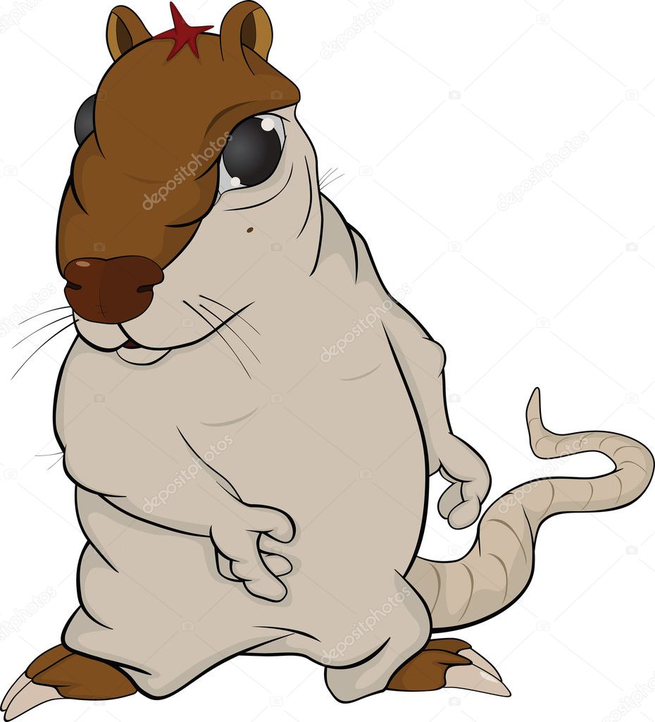 House rat. Cartoon — Stock Vector © liusaart #5813033