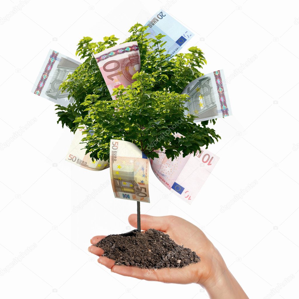 Money Tree Euro