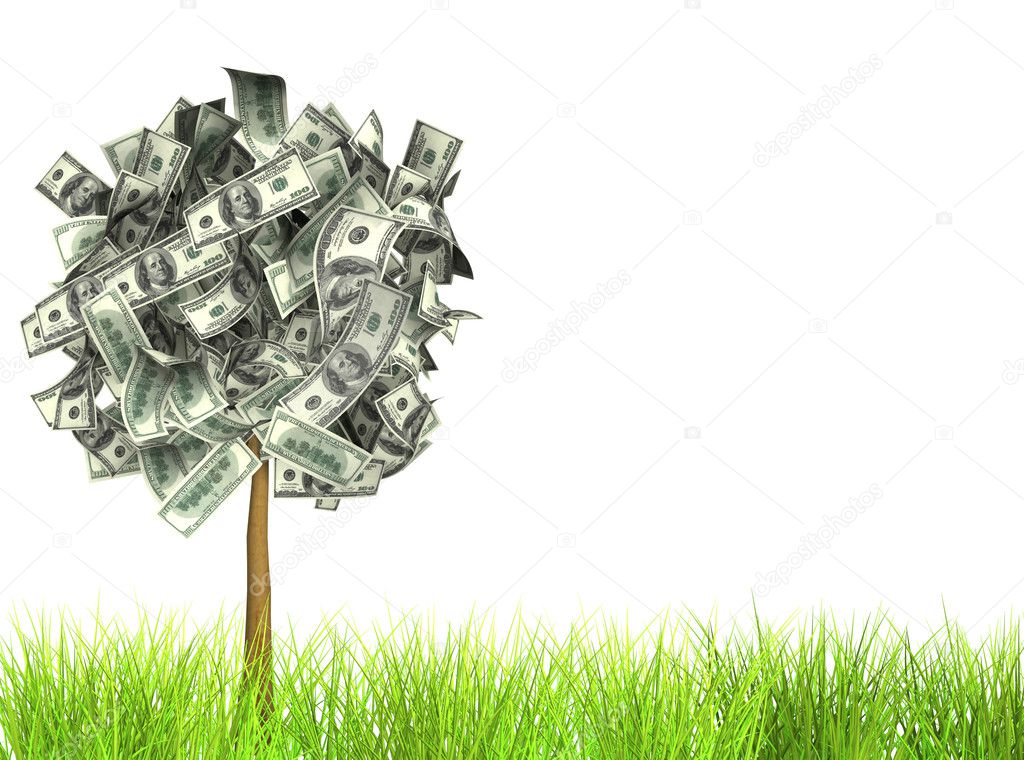 Money tree — Stock Photo © frenta #6482073