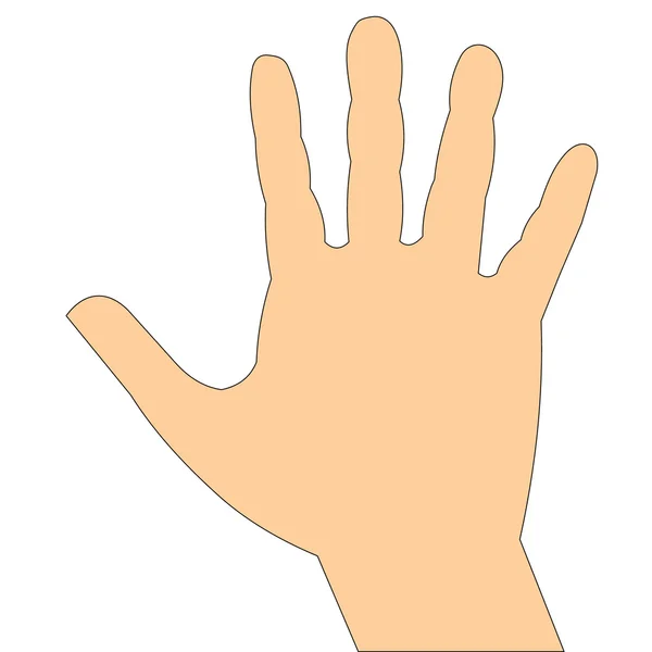 Children's hands, palms forward — Stock Vector © AlfaOlga #6126689