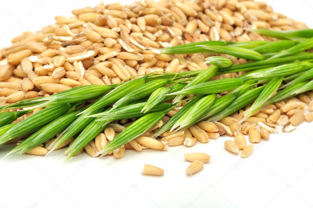 Whole Oats And Ear Close-up Stock Photo by ©Digifuture 5451015