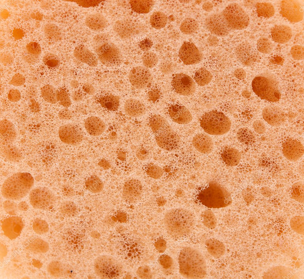 Sponge texture — Stock Photo © ksena32 #5531608