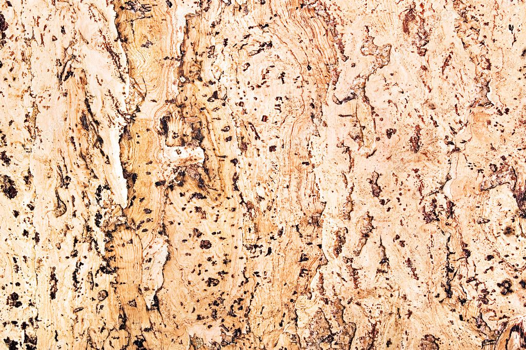 Cork texture Stock Photo by ©2happy 6713921