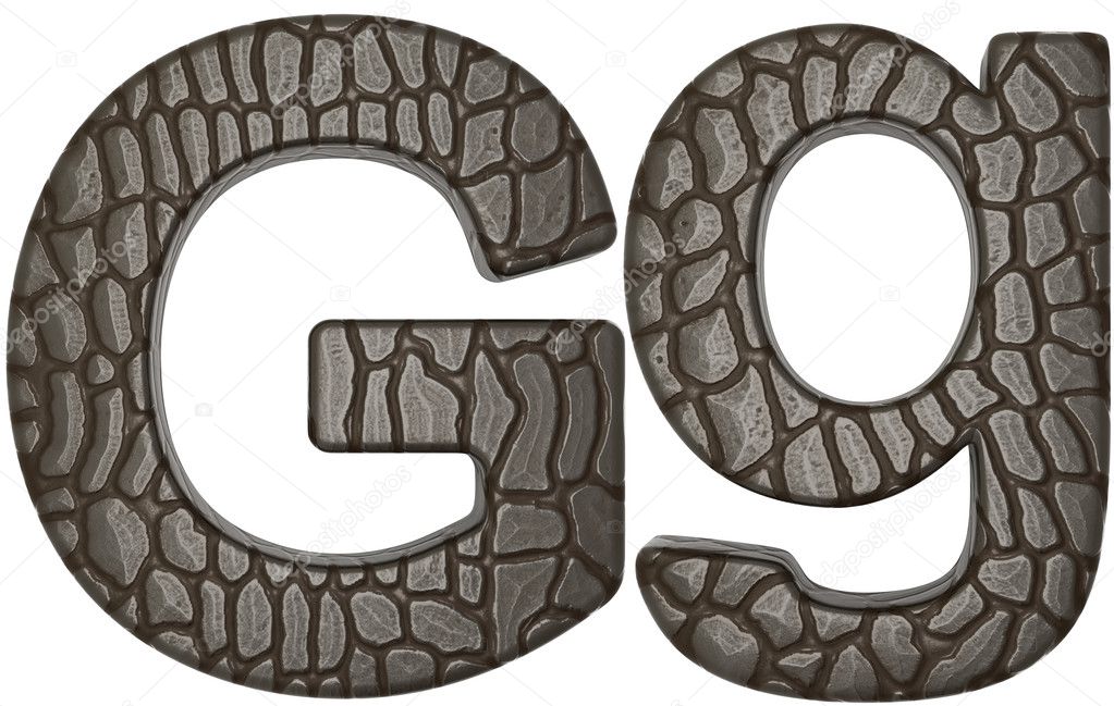 Piel de cocodrilo letra G minúsculas y mayúsculas: fotografía de stock ...