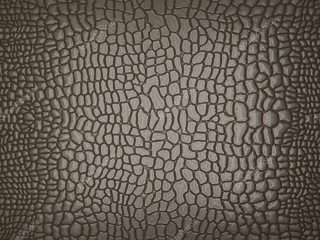 Grey Alligator skin: useful as texture or background Stock Photo by ...