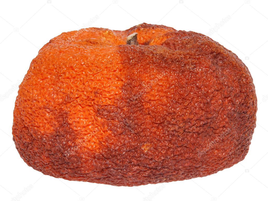 Rotten orange ⬇ Stock Photo, Image by © akova777 #5423500