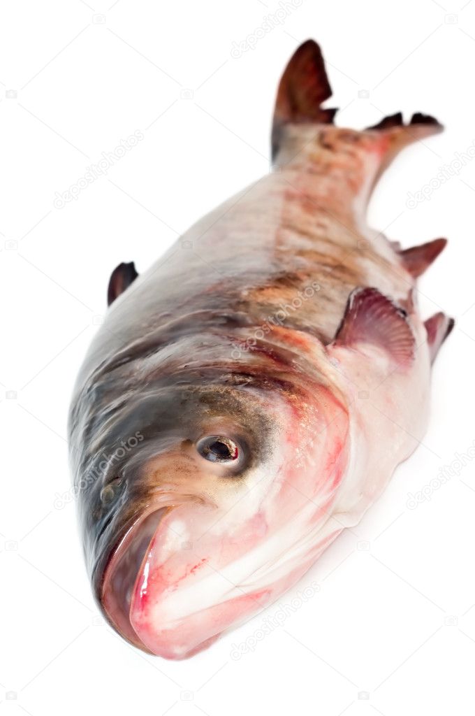Fresh fish — Stock Photo © Erdaenar #6629571