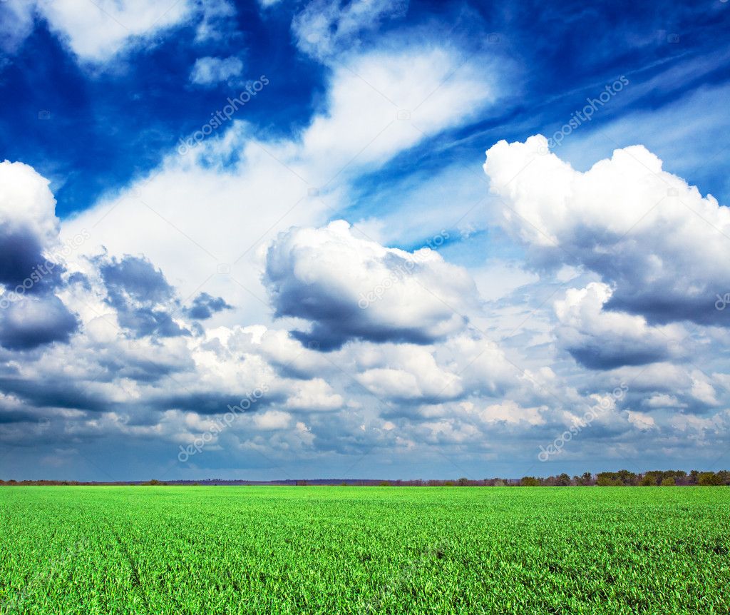 Field and beautiful sky — Stock Photo © ArtyFree #5383011