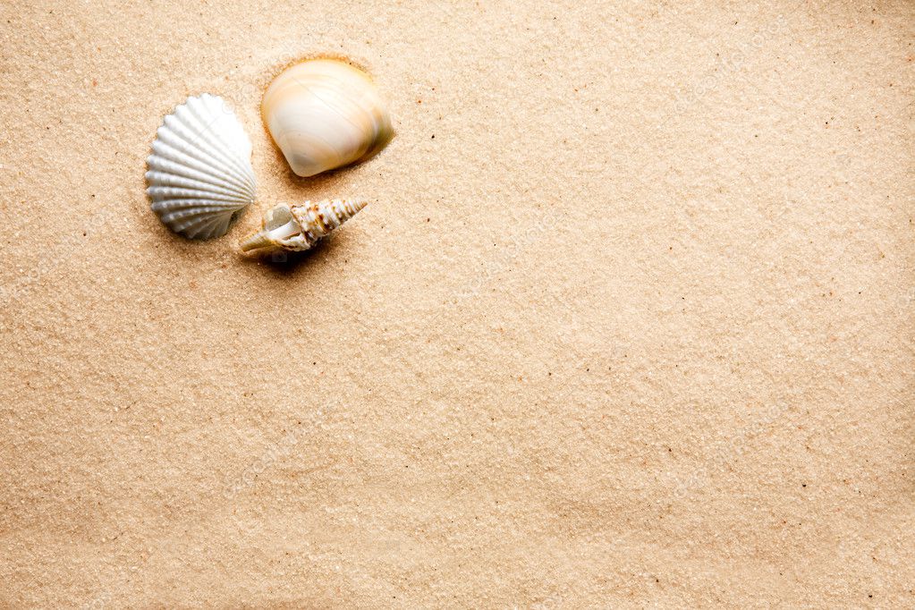 Sand Shell Background — Stock Photo © SimpleFoto #5685826 Sand Shell Background — Stock Photo © SimpleFoto #5685826