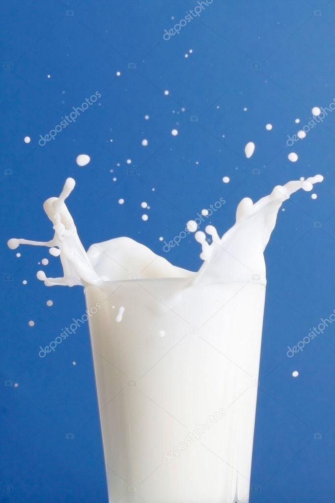 Milk — Stock Photo © leeser #5925948
