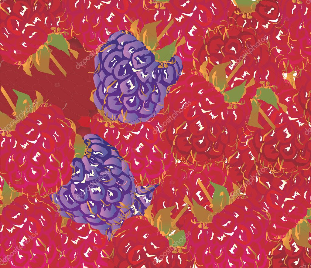 Black and red raspberry background Stock Vector Image by ©Dr.PAS #6327260