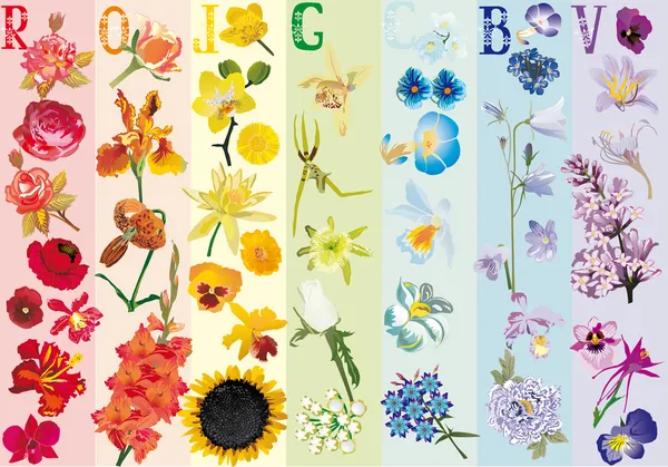 Rainbow flowers Images - Search Images on Everypixel