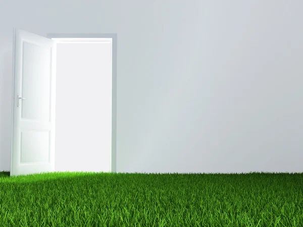 Closed door on green grass Stock Photo by ©Mishchenko 2602954