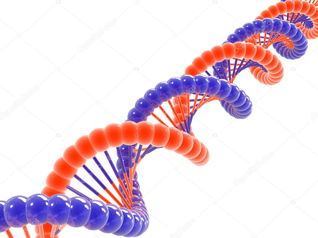 DNA model. — Stock Photo © aleksan #5717576