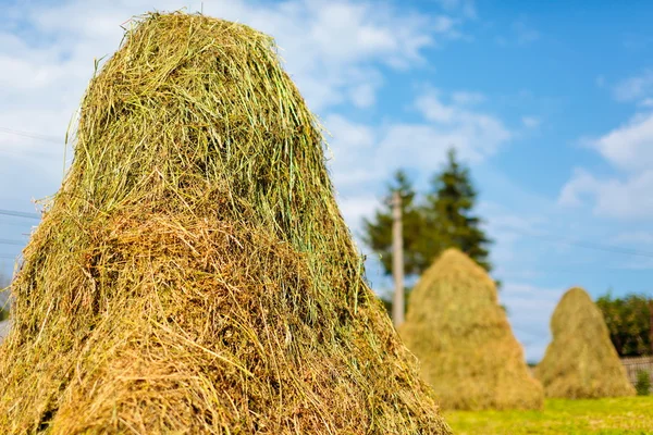 Hay stacks Stock Photos, Royalty Free Hay stacks Images | Depositphotos
