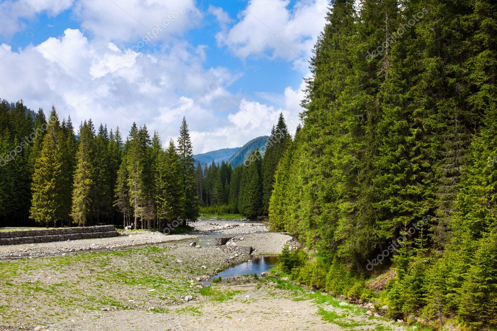 Lotru river source in Romania mountains — Stock Photo © Xalanx #5903389