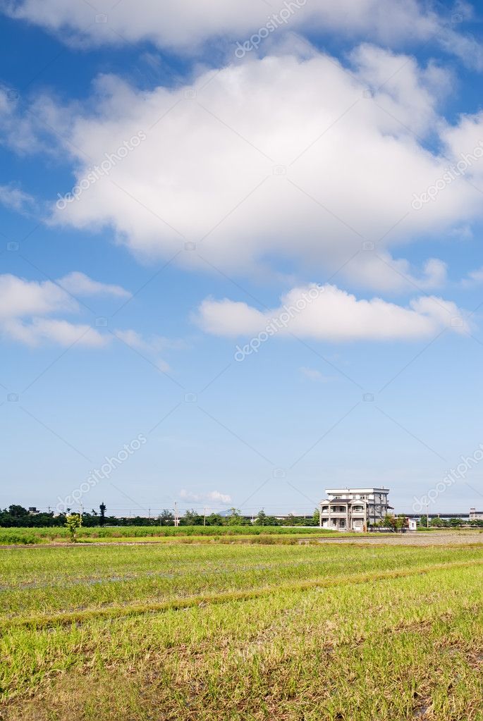 Rural scenery — Stock Photo © elwynn #5973135