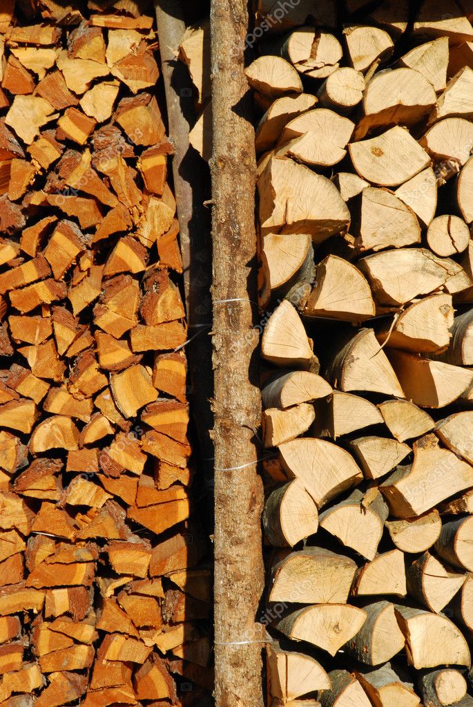Pile of log - Dolomites Stock Photo by ©moreno.soppelsa 6722009
