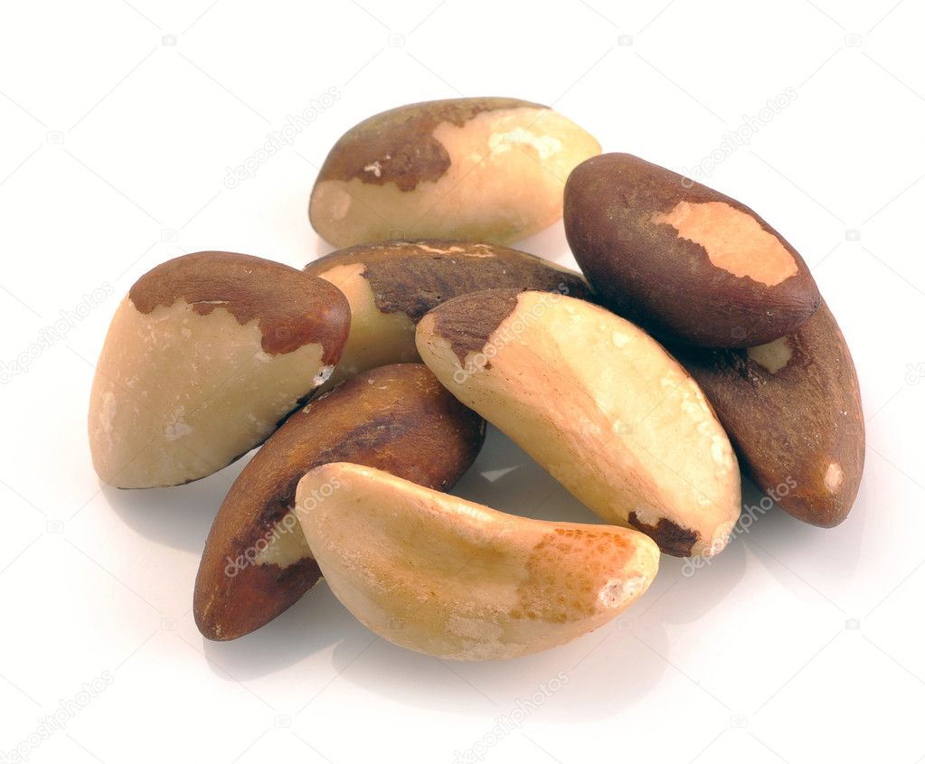 Brazil nuts Stock Photo by ©sergioz 6034819