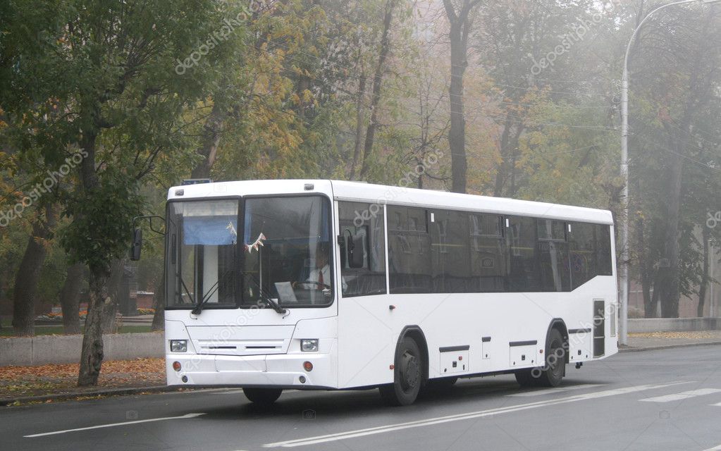White bus — Stock Photo © Artzzz #5647981