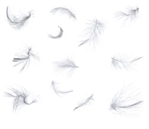 White falling feathers Stock Photos, Royalty Free White falling ...