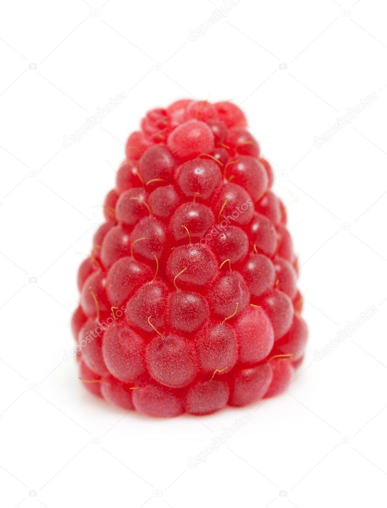 One raspberry in closeup — Stock Photo © sannie32 #5974626