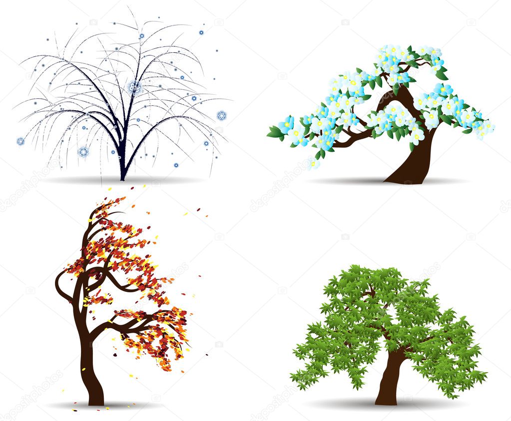 Four season trees Stock Vector Image by ©Ninuella #6541736