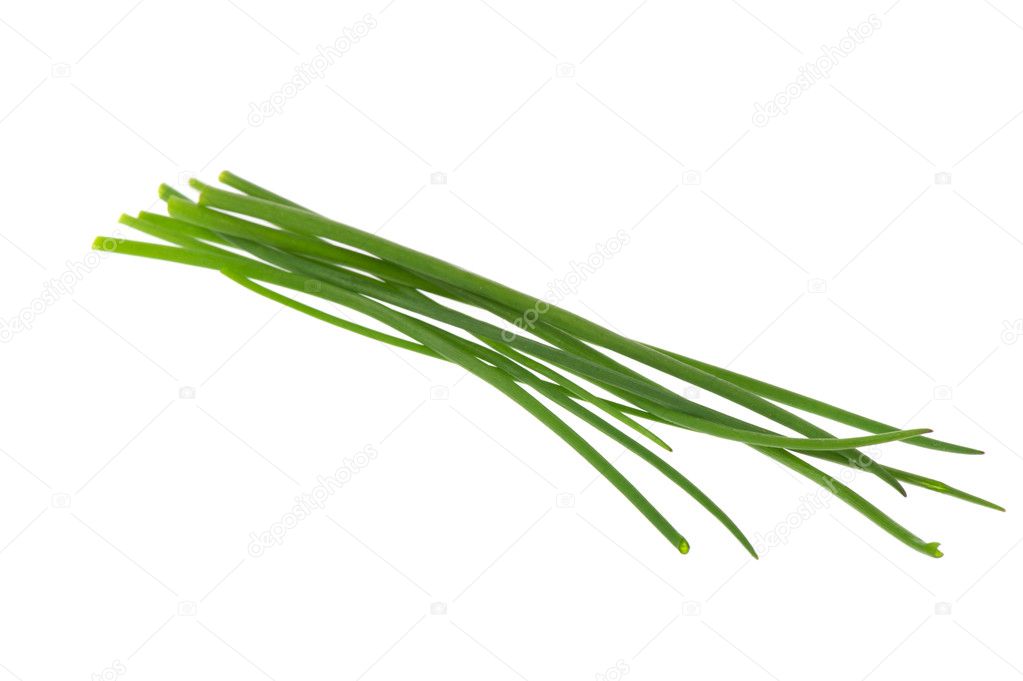Leaves of chives — Stock Photo © ivonnewierink #5676462