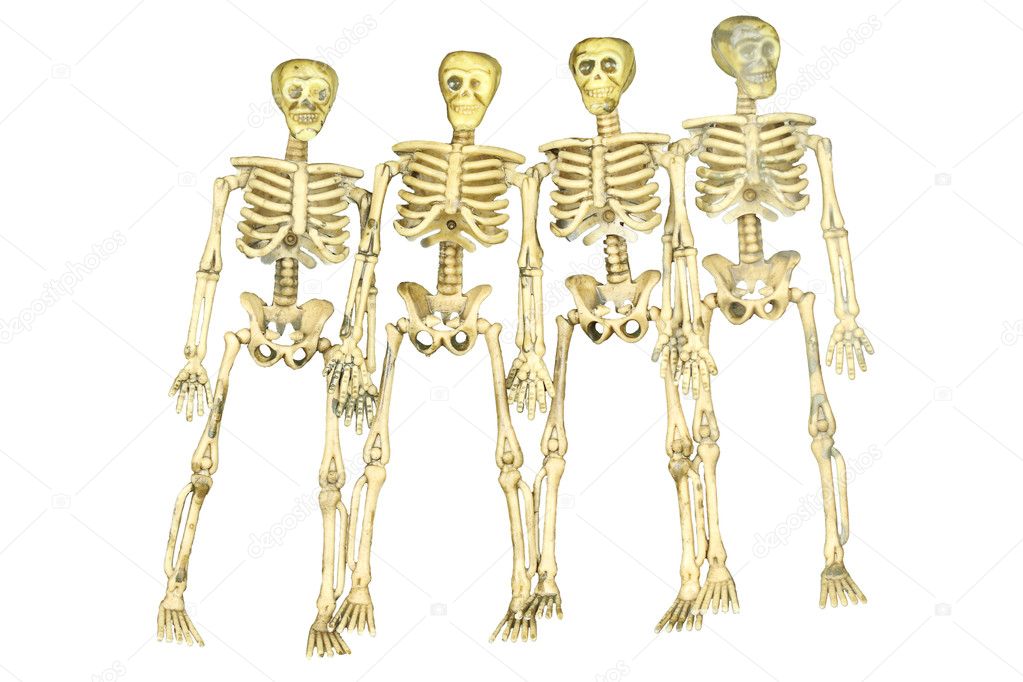Group of Skeletons — Stock Photo © rudyumans #6591469