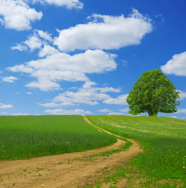 Vacant land Stock Photos, Royalty Free Vacant land Images | Depositphotos®