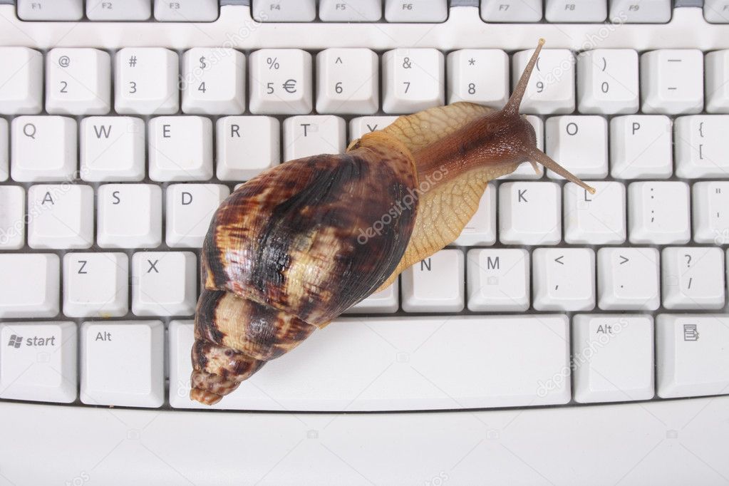 Snail and keyboard — Stock Photo © jonnysek #6116372