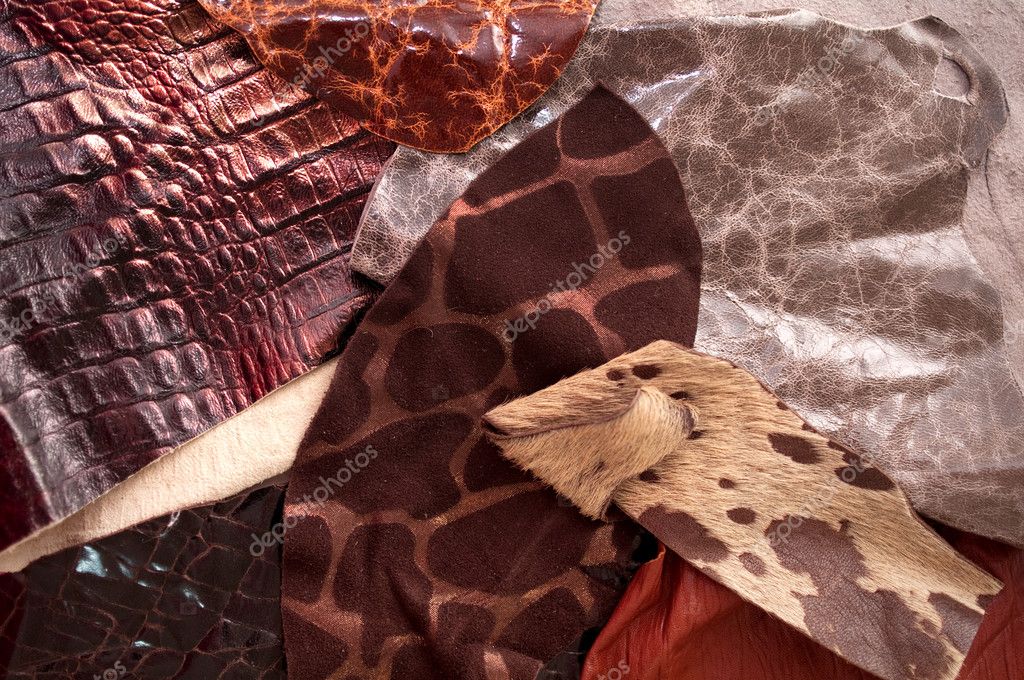 Different leather samples Stock Photo by ©DeryaCakirsoy 5406226