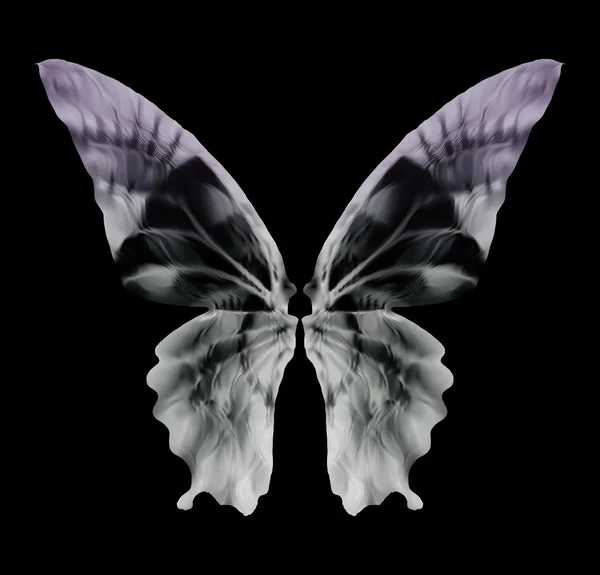 Butterfly wing Stock Vectors, Royalty Free Butterfly wing Illustrations ...