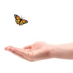 Butterflies in hand Stock Photo by ©angiolina 23219678