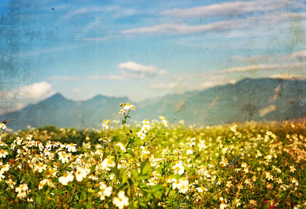 Old flower paper textures Stock Photo by ©ilolab 5775825