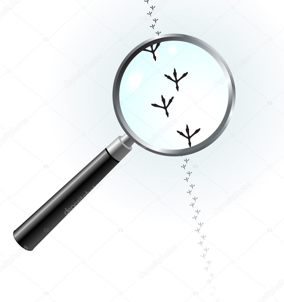 Vogelspuren unter der Lupe Stock-Vektorgrafik von ©iconspro 6030224