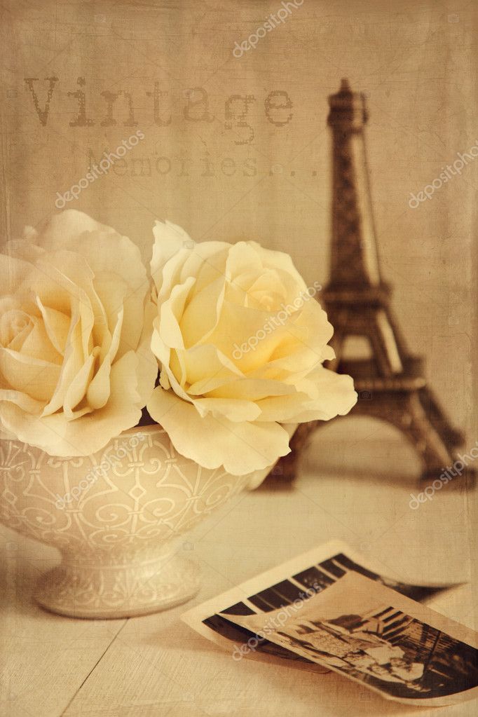 Antique roses with old photos — Stock Photo © Sandralise #5660260
