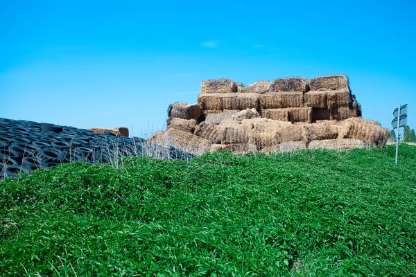 Black hay bales Stock Photos, Royalty Free Black hay bales Images ...