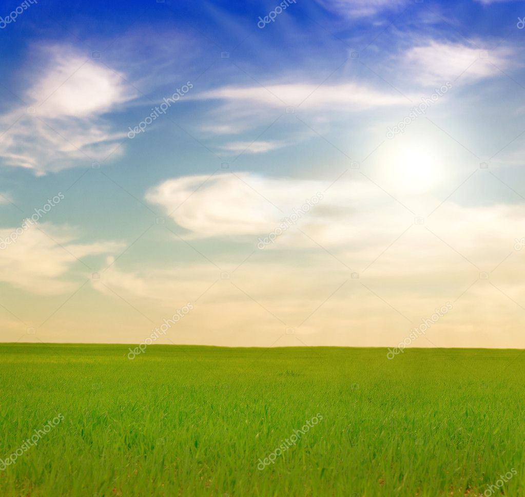 Bright Landscape Photography