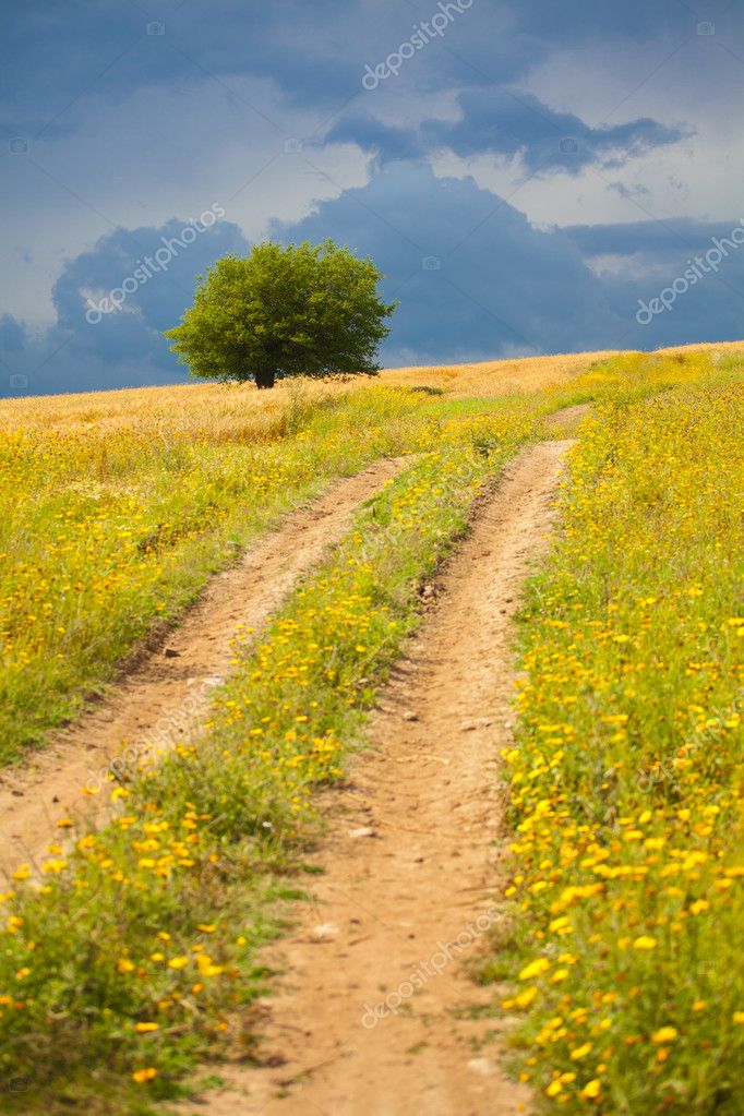 Overcast landscape — Stock Photo © igabriela #6733191