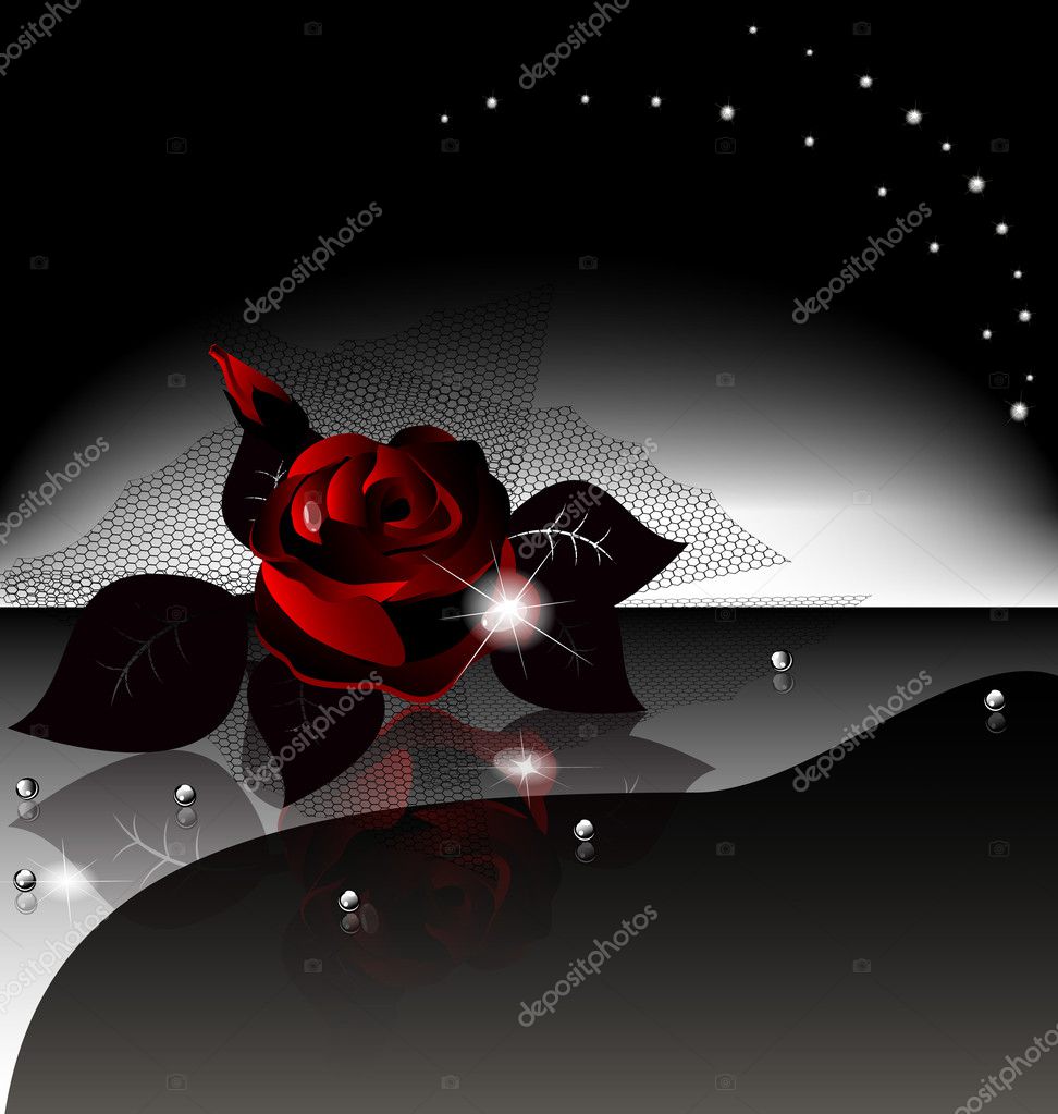 Background black rose — Stock Vector © dankalilly #6532618