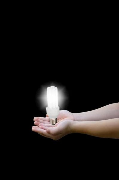 Hand holding light bulb Stock Photos, Royalty Free Hand holding light ...