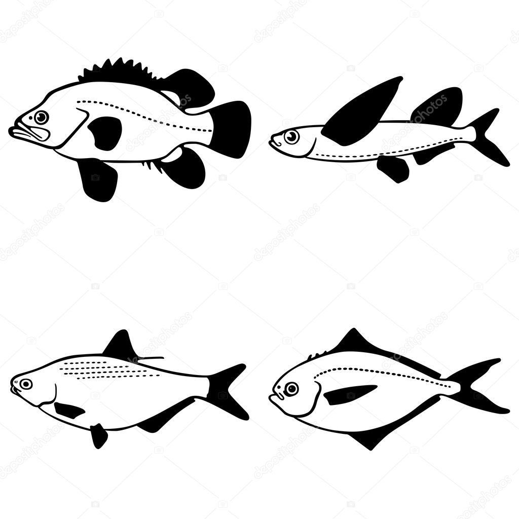 Vector fish Stock Vector by ©Den.Barbulat 6305442