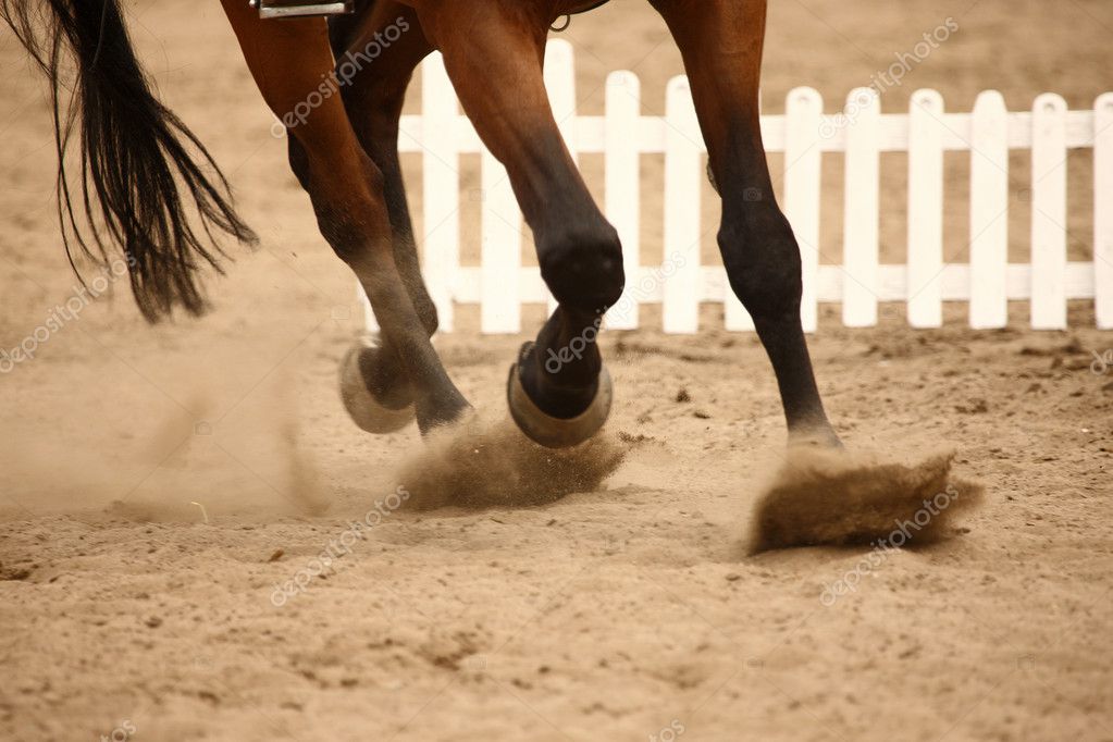 Galloping horse — Stock Photo © macniak #6354398